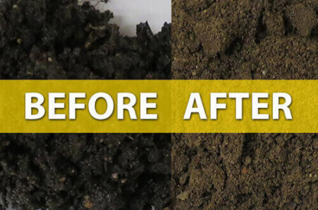 Soil Pollution – Causes, Effects and What To Do About It?