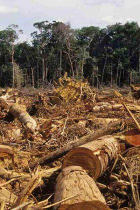 Soil Pollution – Causes, Effects and What To Do About It?